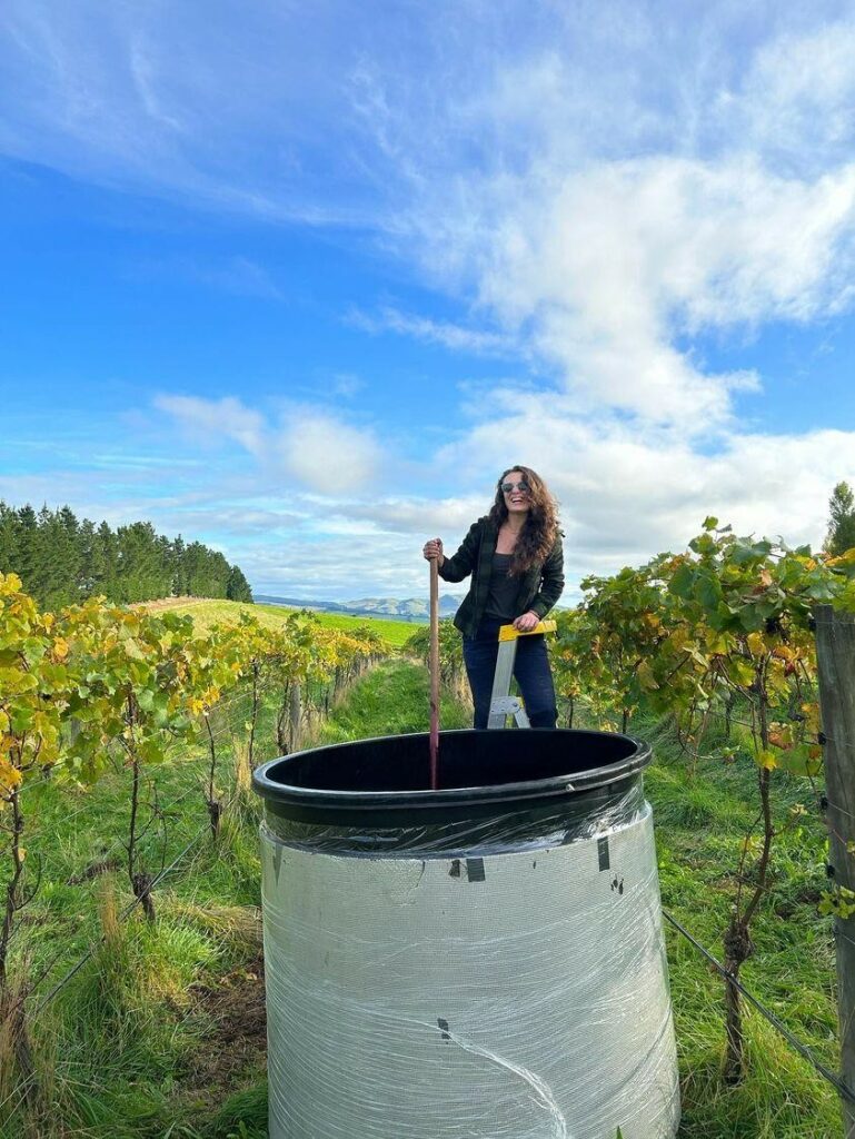 Organic Wines from Waipara - Greystone Wines